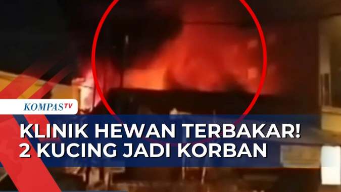 Klinik Hewan di Karawang Hangus Terbakar! 2 Kucing yang Sedang Dirawat ...