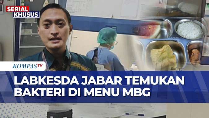 Labkesda Jabar Temukan Bakteri Salmonella dan Bacillus Cereus di Menu ...