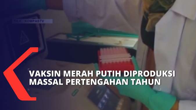 Indonesia Targetkan Vaksin Merah Putih Diproduksi Massal Pada