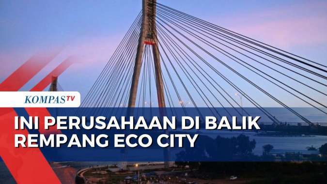 Tomy Winata, Konglomerat di Balik Proyek Rempang Eco City