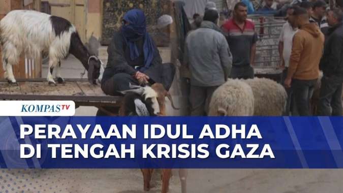 Warga Gaza Rayakan Iduladha di Tengah Krisis, Harga Ternak Melonjak ...