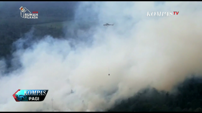 Kebakaran Lahan dan Hutan Makin Meluas di Riau