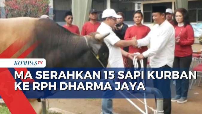 Mahkamah Agung Serahkan 15 Sapi Kurban ke Rumah Potong Hewan di Cakung - MA NEWS