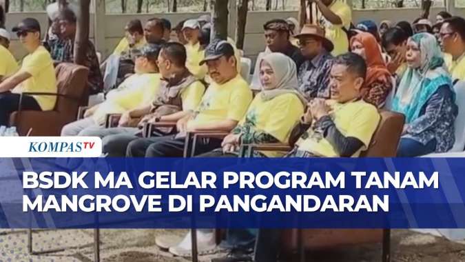 BSDK MA Gelar Program Aksi Peduli Lingkungan Tanam Pohon Mangrove di ...
